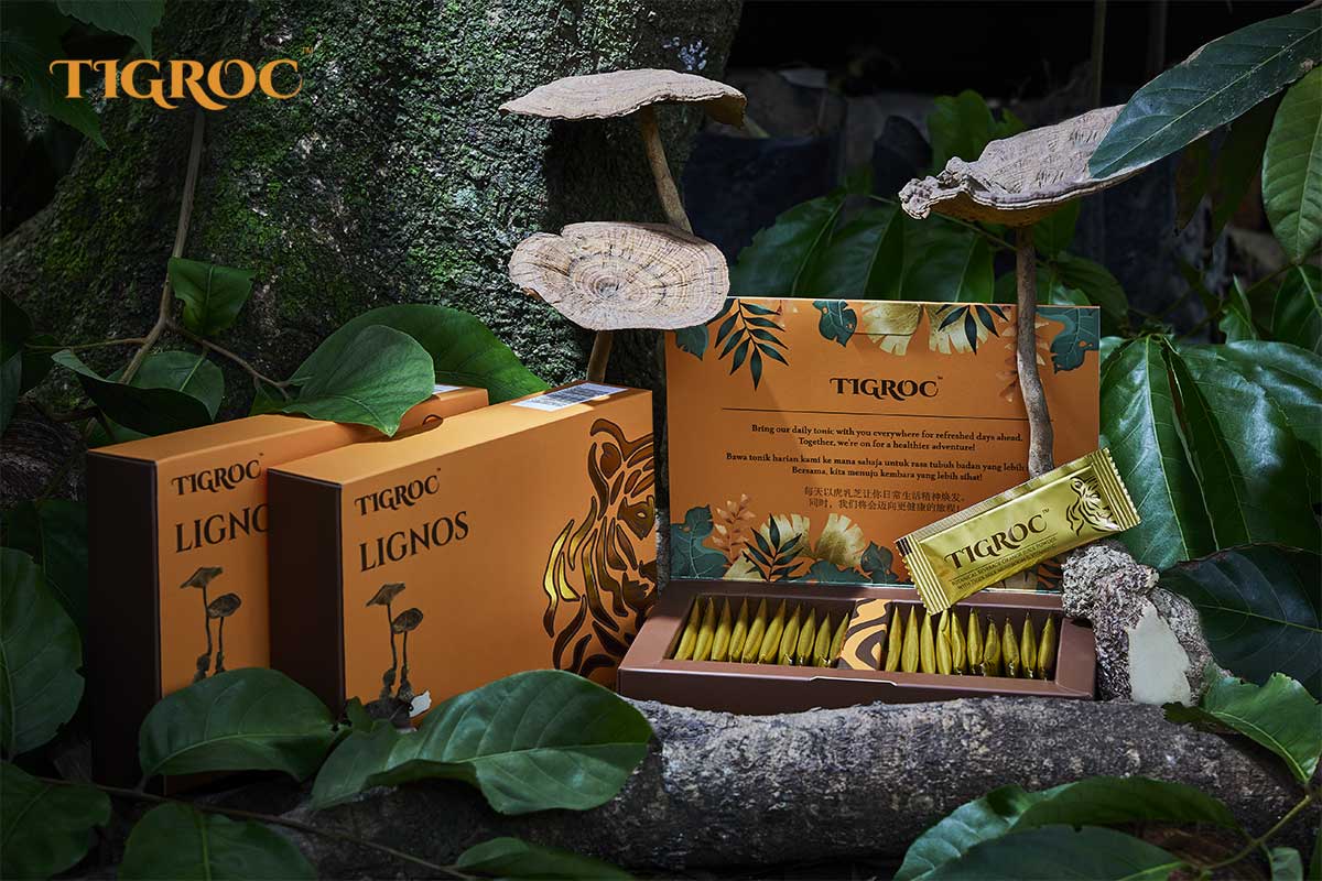 Tiger Milk Mushroom – edibee.co